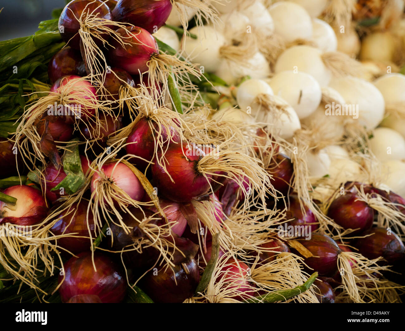 Fresh organic food at the local farmers market. Farmers markets are a ...