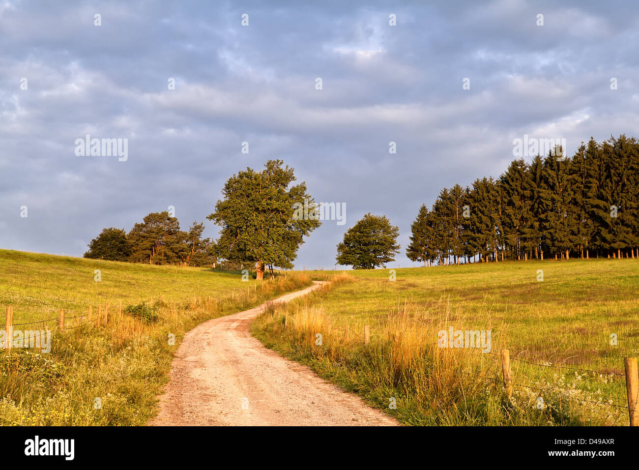 curved rural ground road at sunrise Stock Photo - Alamy