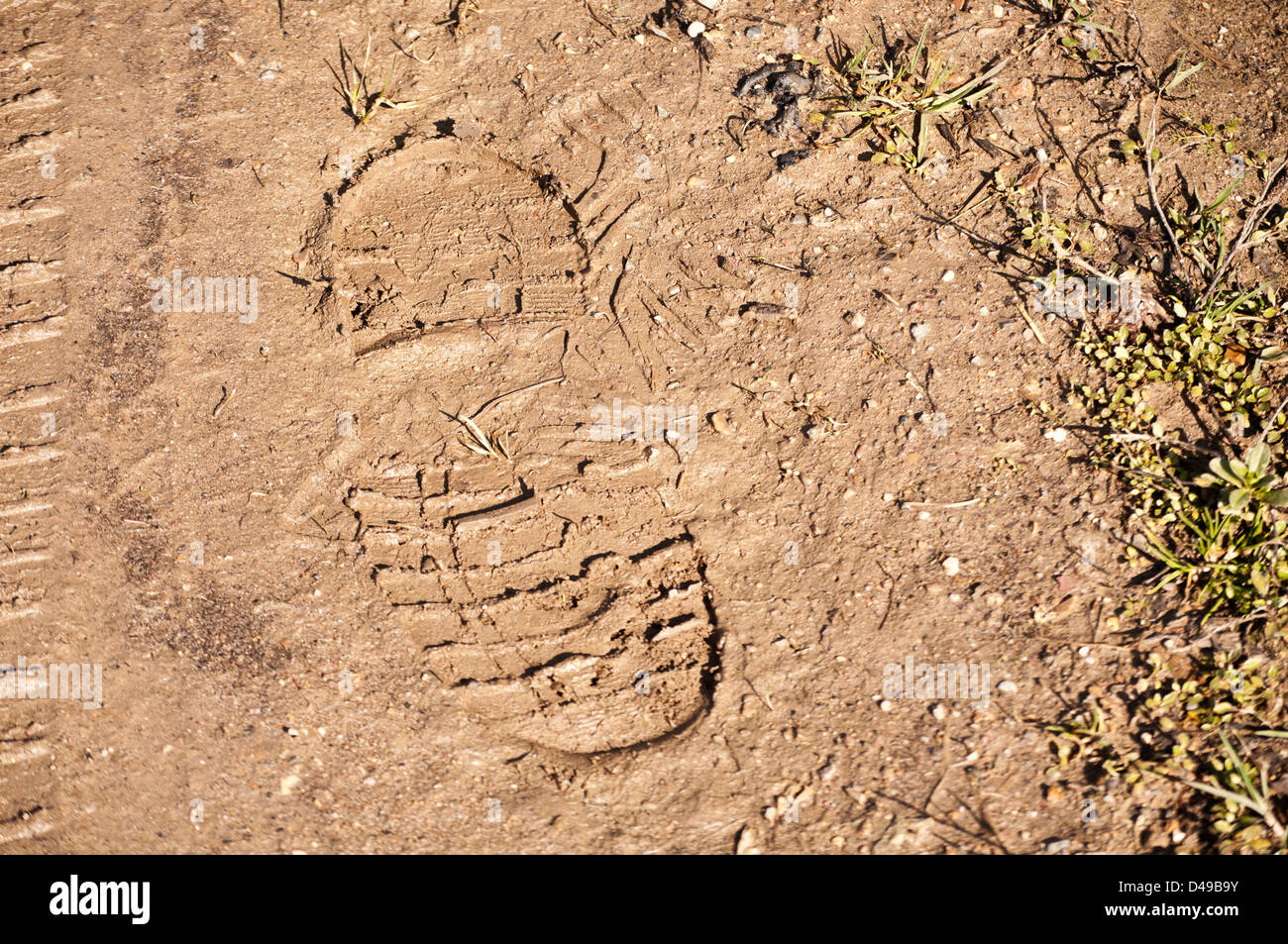 Footprint in mud hi-res stock photography and images - Alamy