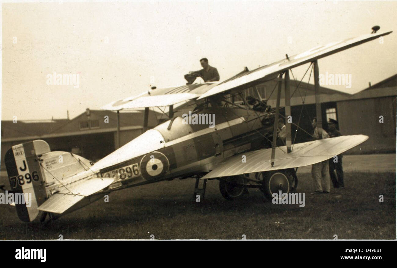 Gloster gamecock hi-res stock photography and images - Alamy