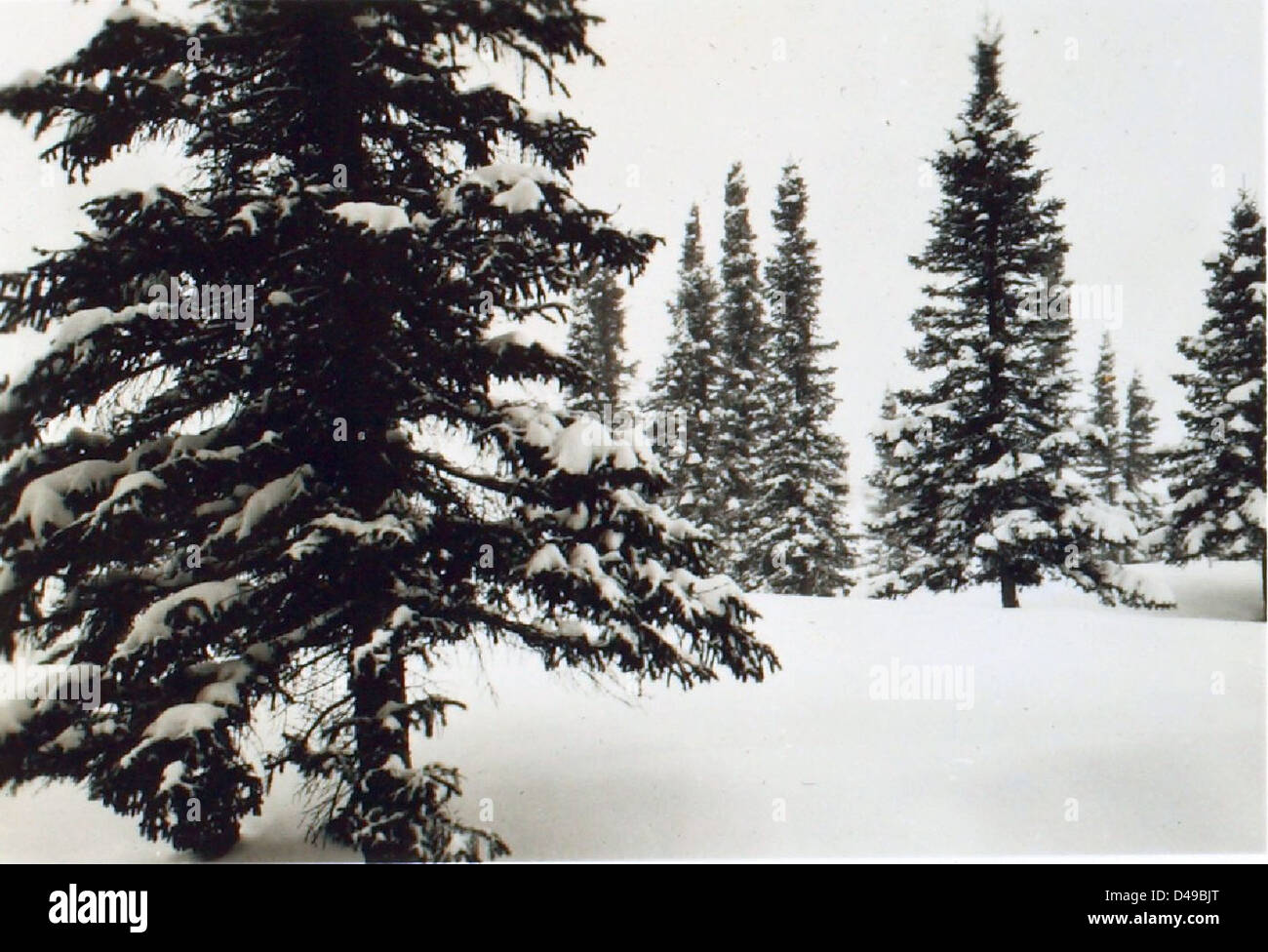 This image, taken by Edwin Newman, shows RAF operations at Goose Bay ...
