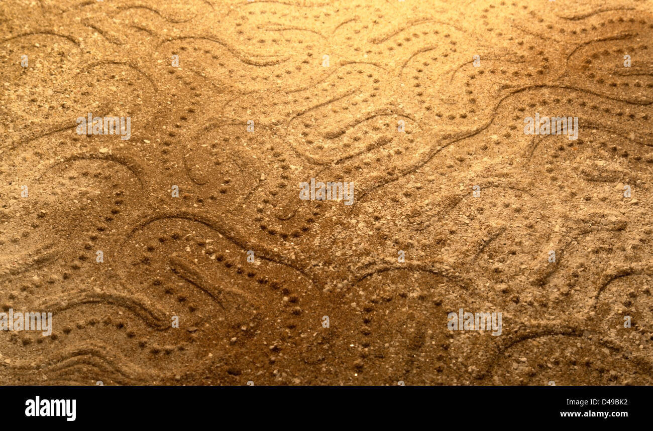 art theme showing a abstract snake pattern pressed in sand surface in ...