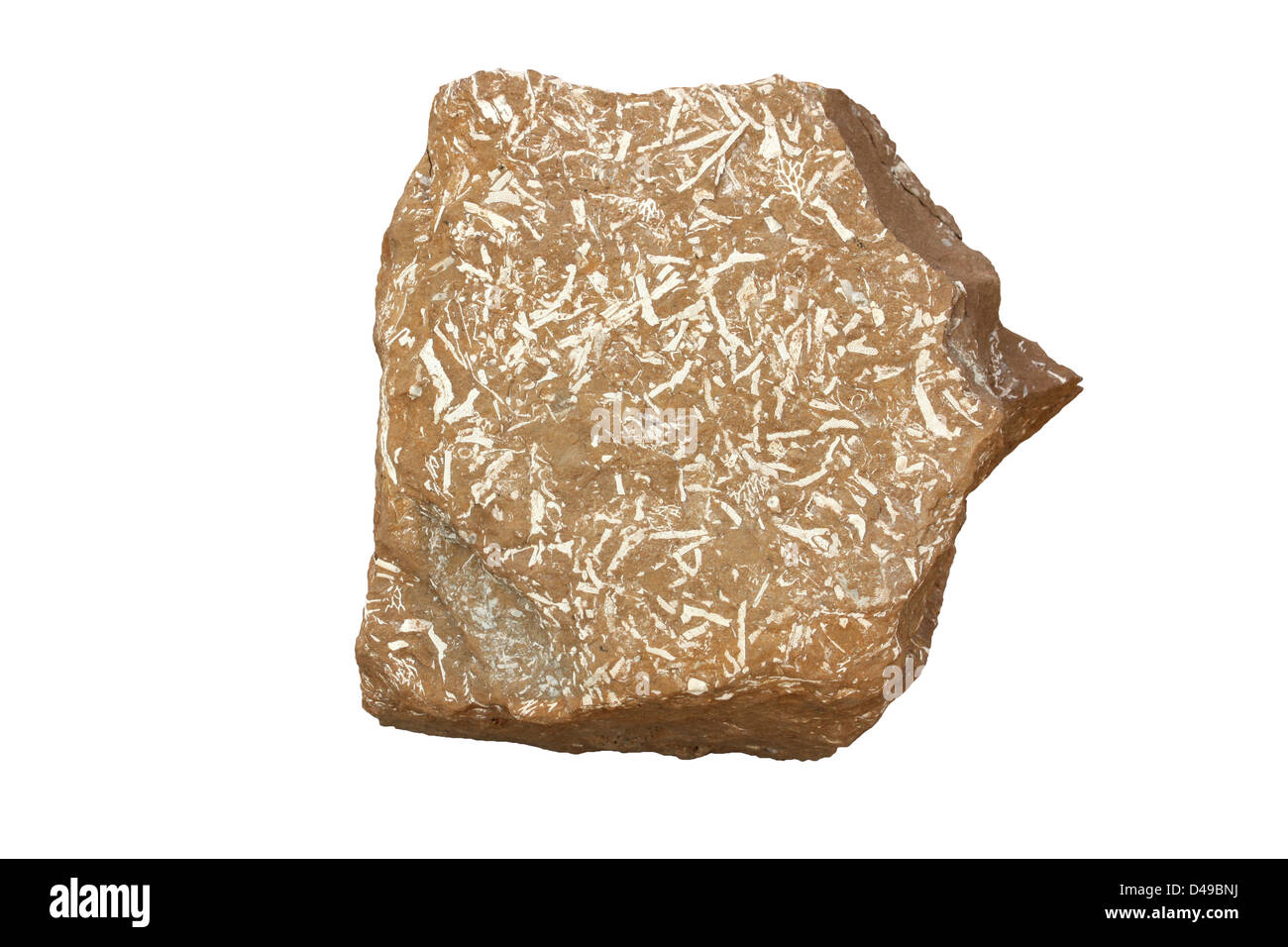 Oil shale hi-res stock photography and images - Alamy