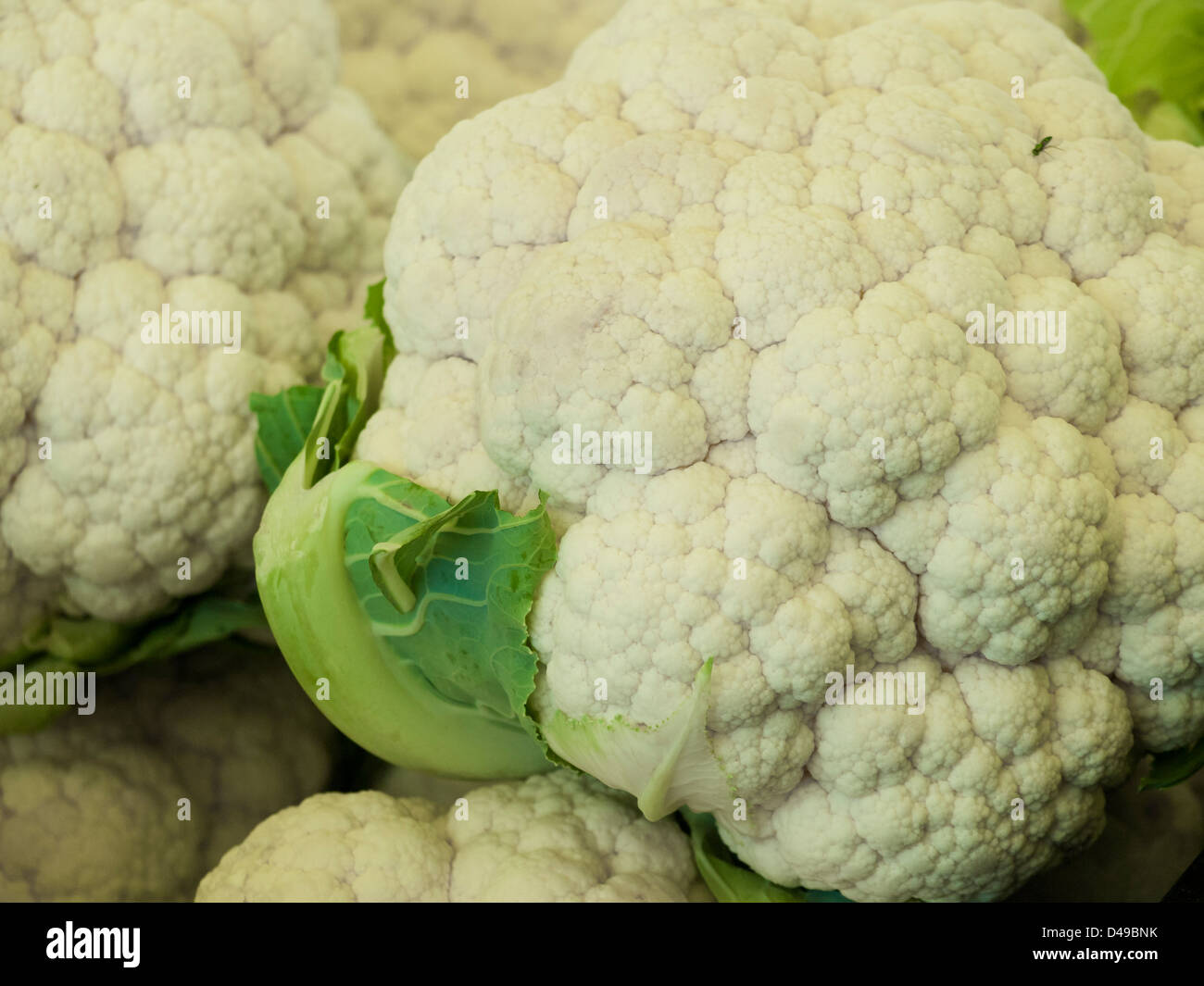 Close up of white cauliflower Stock Photo - Alamy