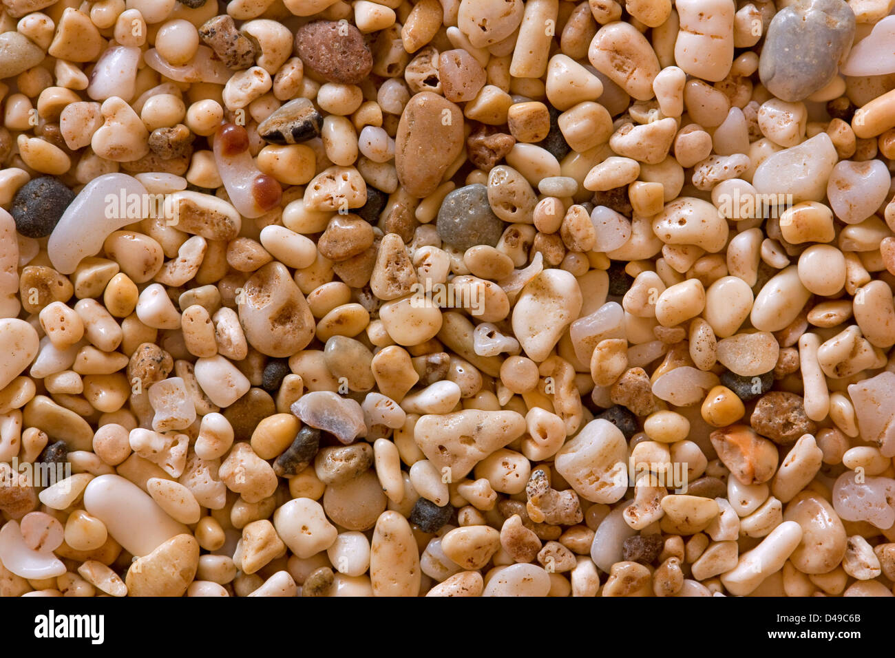 White coral sand hi-res stock photography and images - Alamy