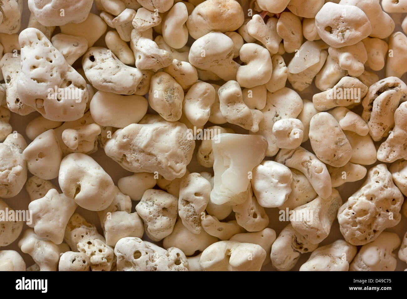 Biogenic sand hi-res stock photography and images - Alamy