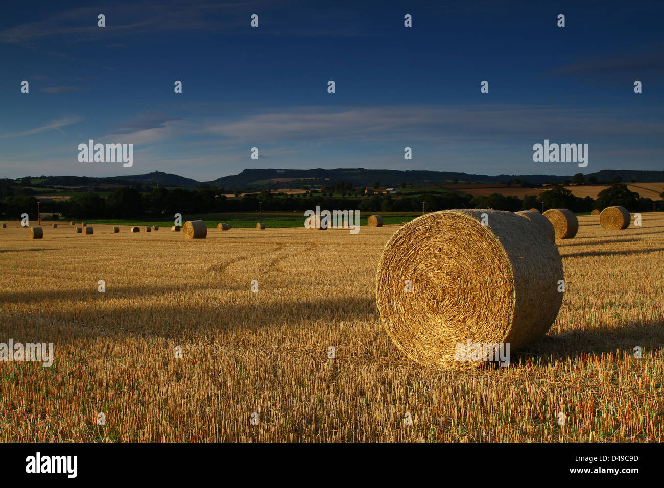 Field fields straw hi-res stock photography and images - Alamy