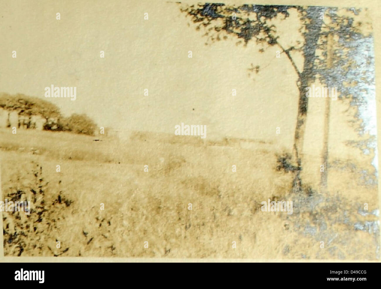 Raf Leysdown High Resolution Stock Photography and Images - Alamy