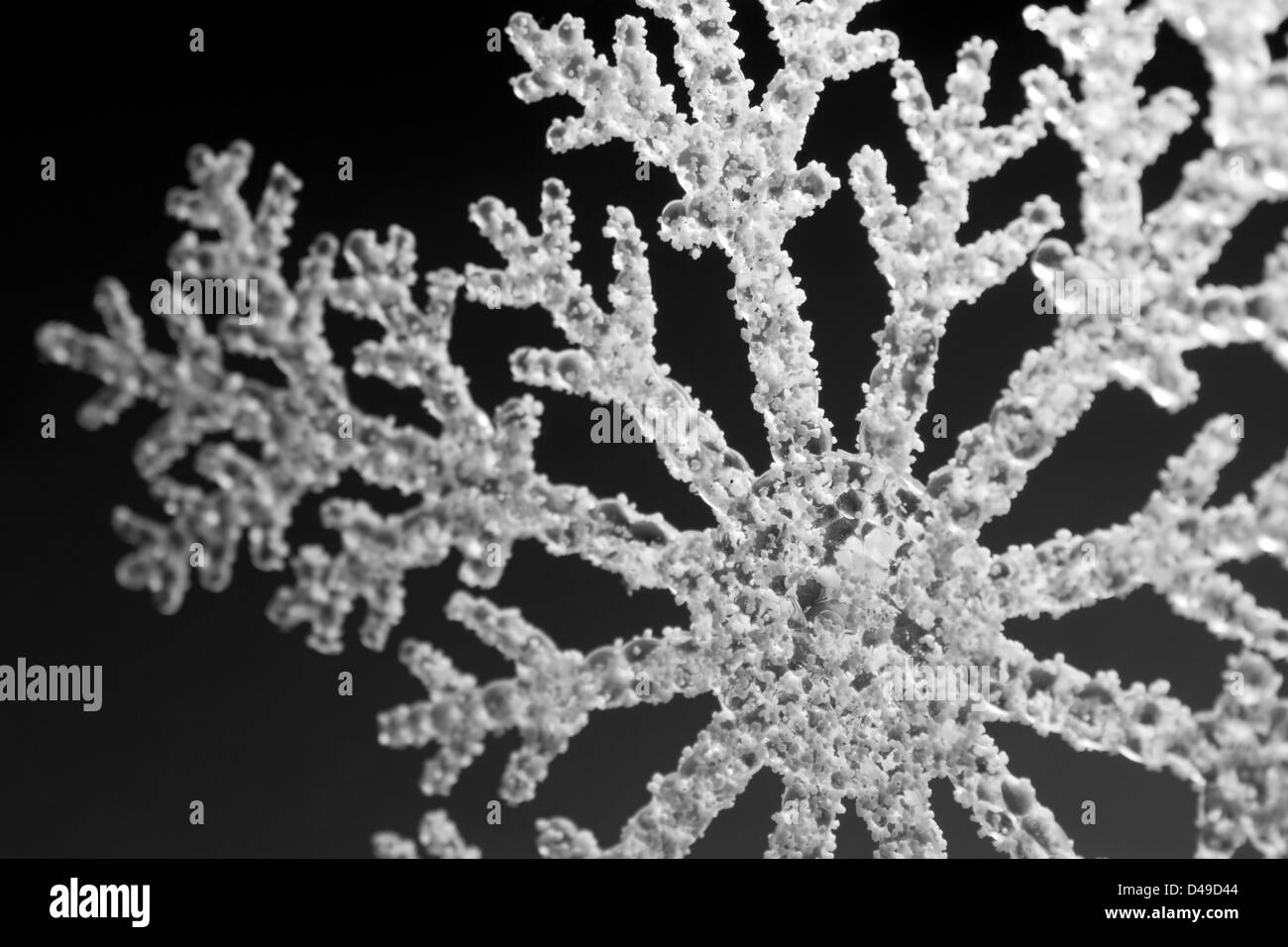 Radial Symmetry Snowflake