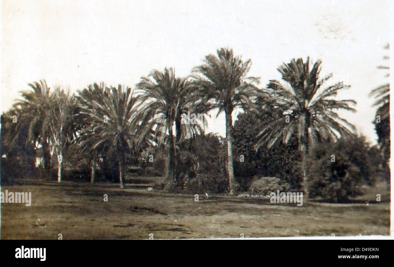 A barrage is a military tactic involving the heavy use of artillery or ...