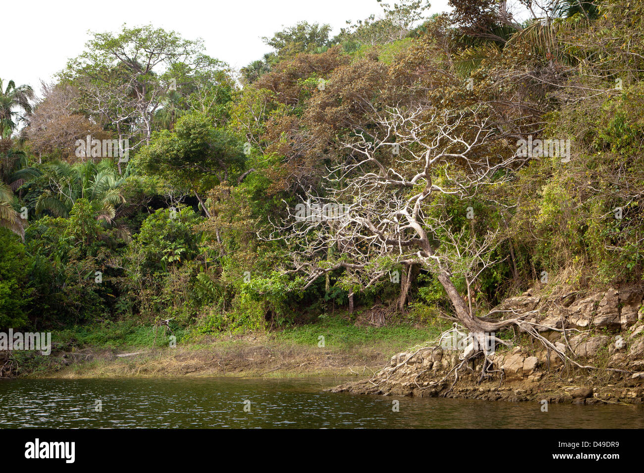 Landscapes at Lago Bayano (lake), Panama province, Republic of Panama ...