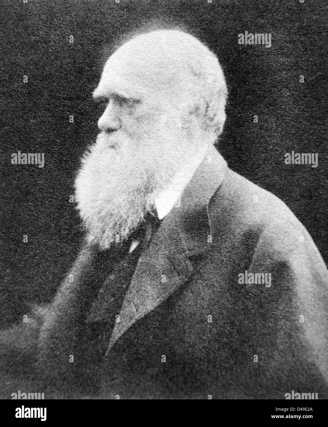 Evolution theory hi-res stock photography and images - Alamy