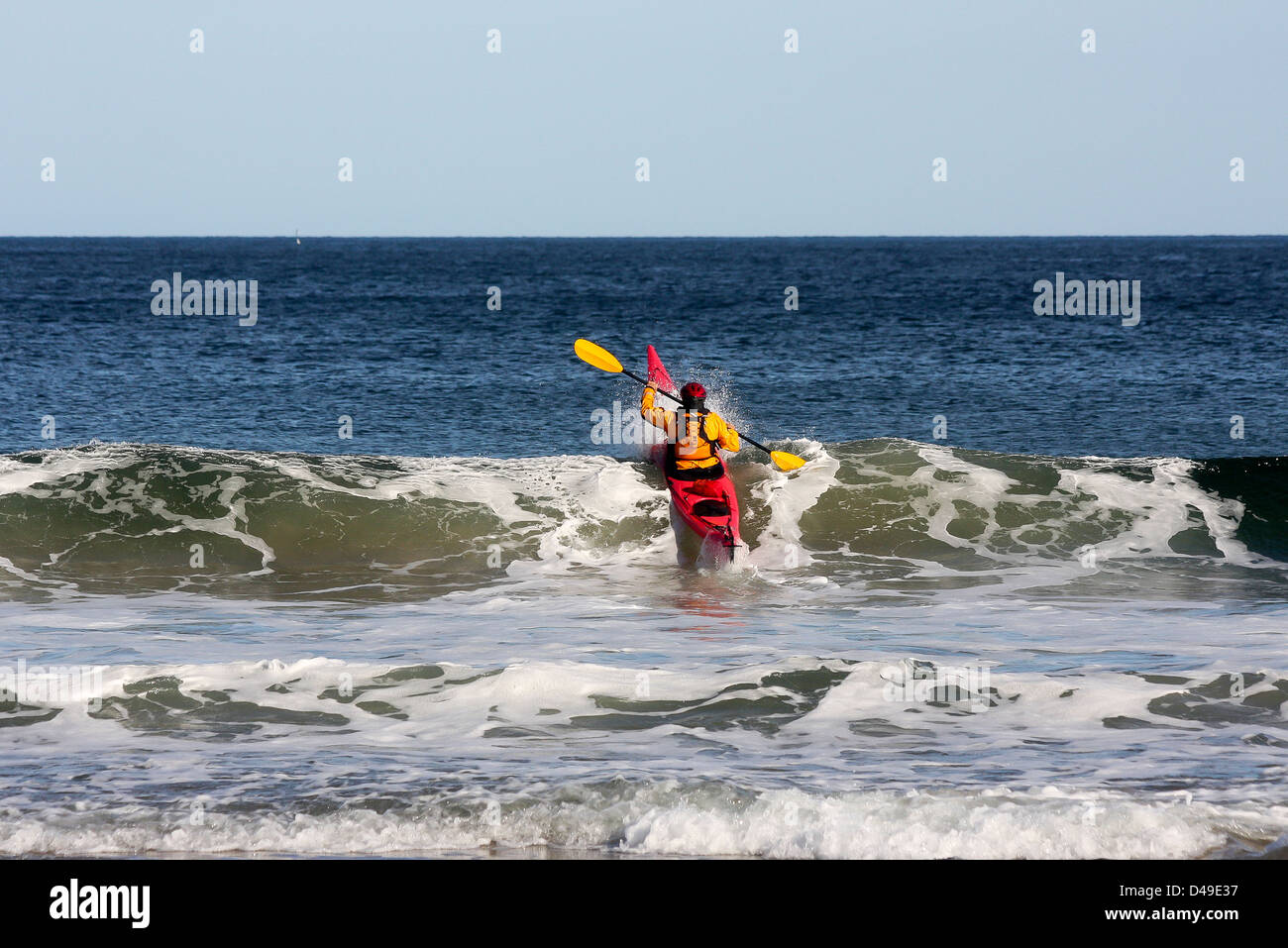 Kayak surfer over the crest of a wave in rough sea of Nova Scotia coast ...