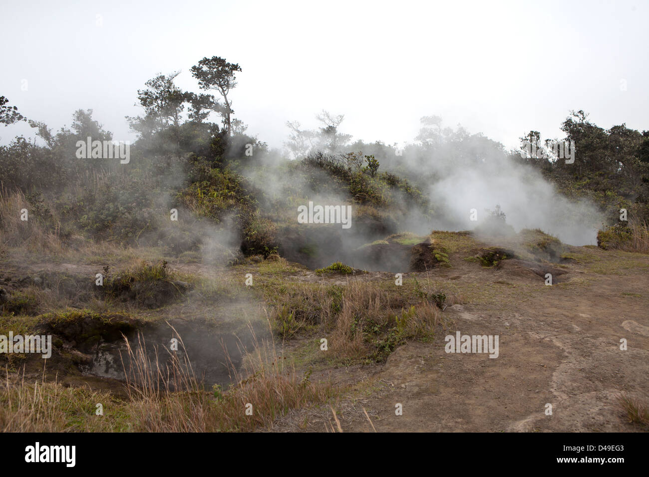 Big steam tree hi-res stock photography and images - Alamy