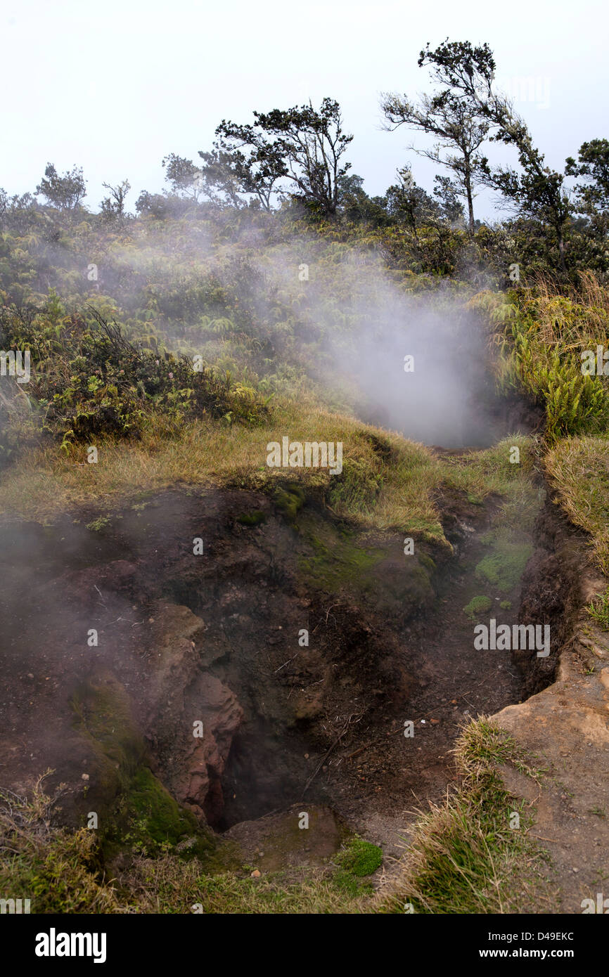 Hawaii volcano steam vent hi-res stock photography and images - Alamy