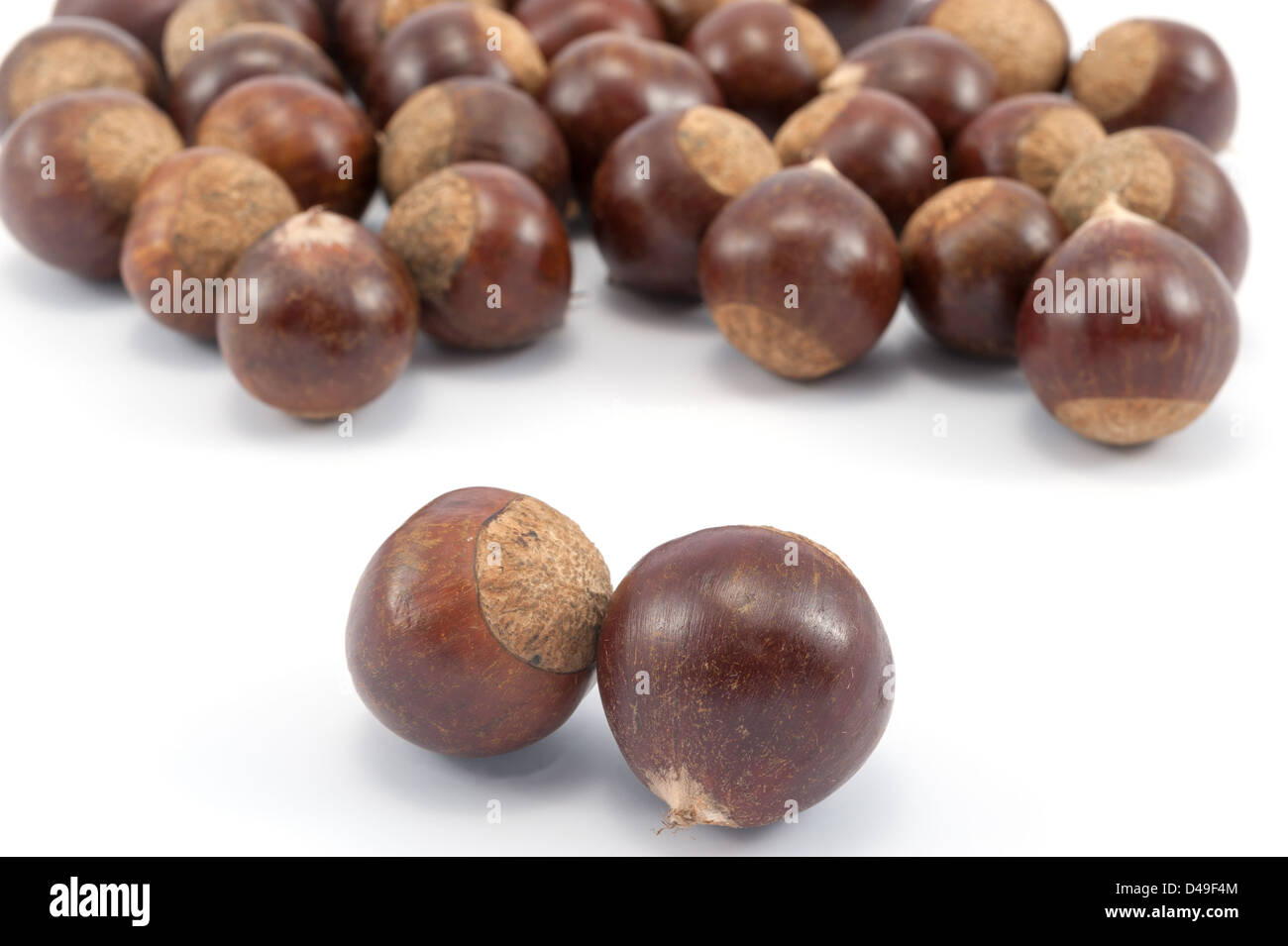 Group of chestnut on white background Stock Photo - Alamy