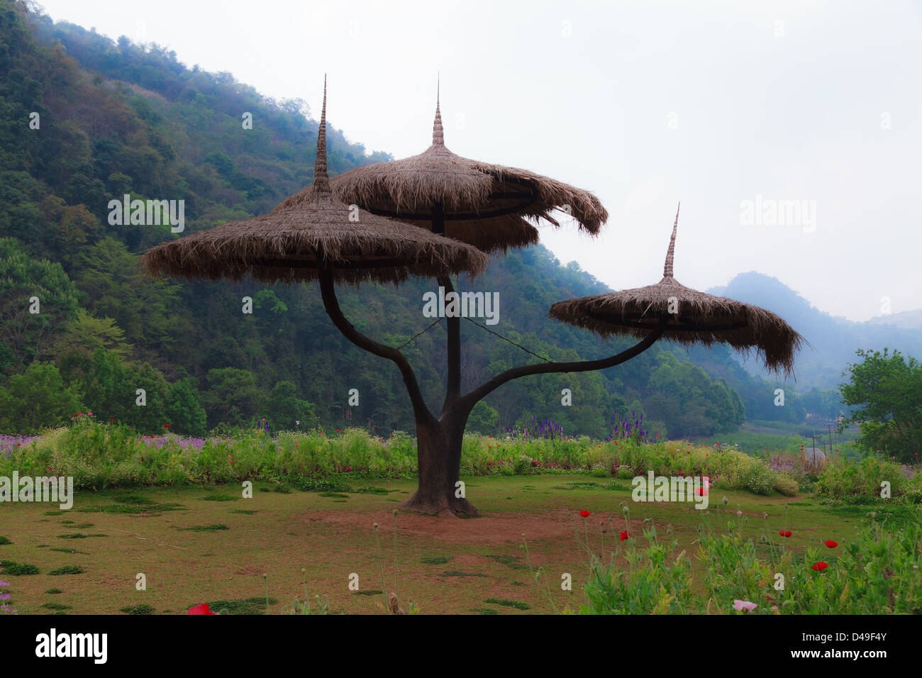 Tropical straw roof hut hi-res stock photography and images - Alamy