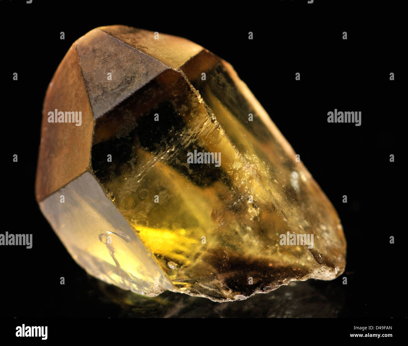 Semi translucent olive hi-res stock photography and images - Alamy