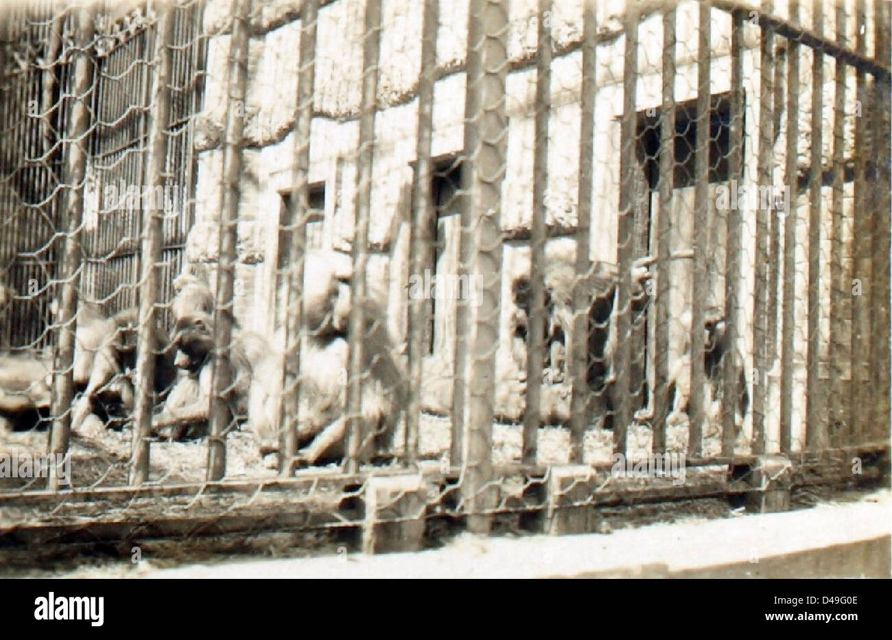 Image captures rare natural hi-res stock photography and images - Alamy