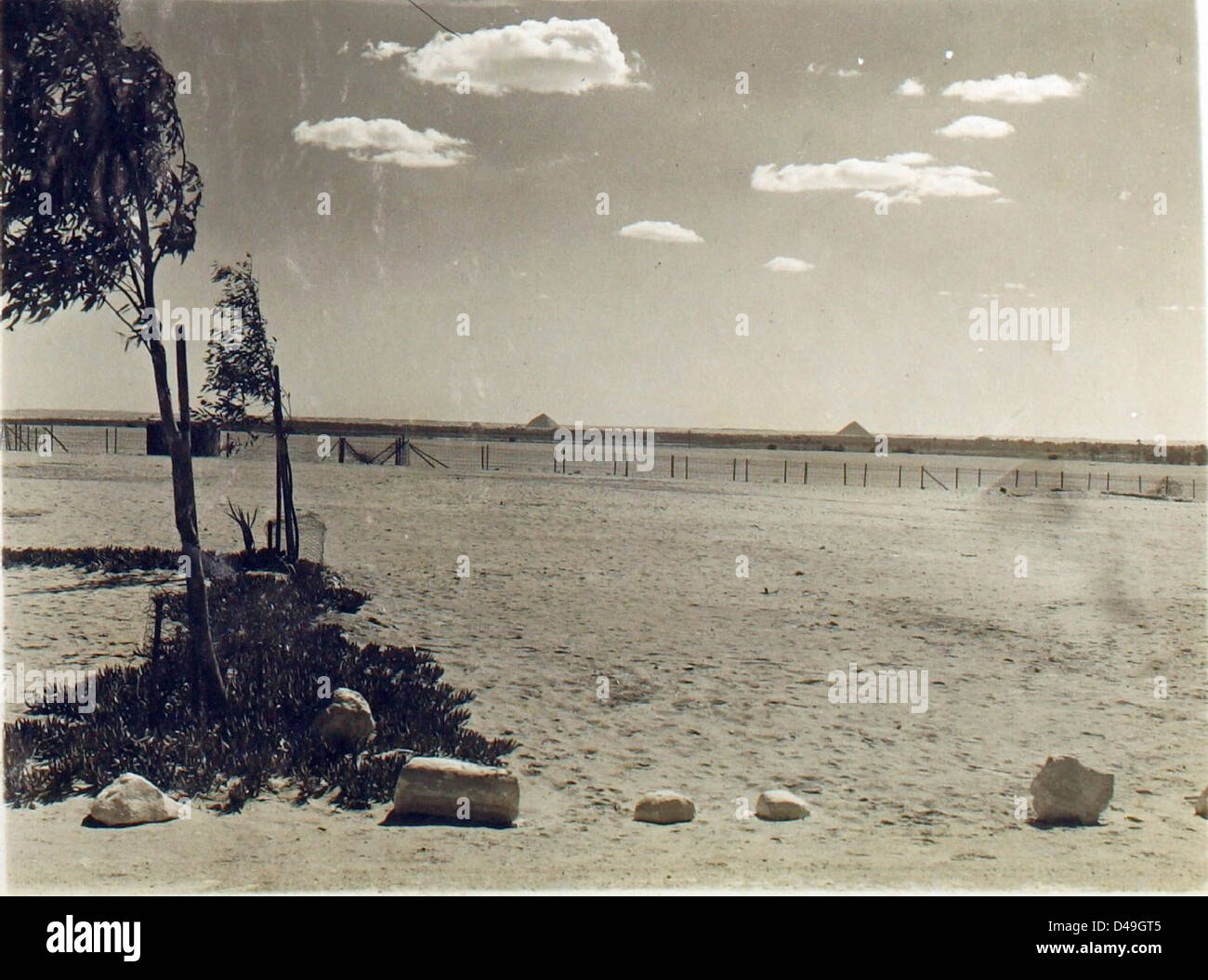 This photograph by Edwin Newman shows the iconic Pyramids of Egypt ...