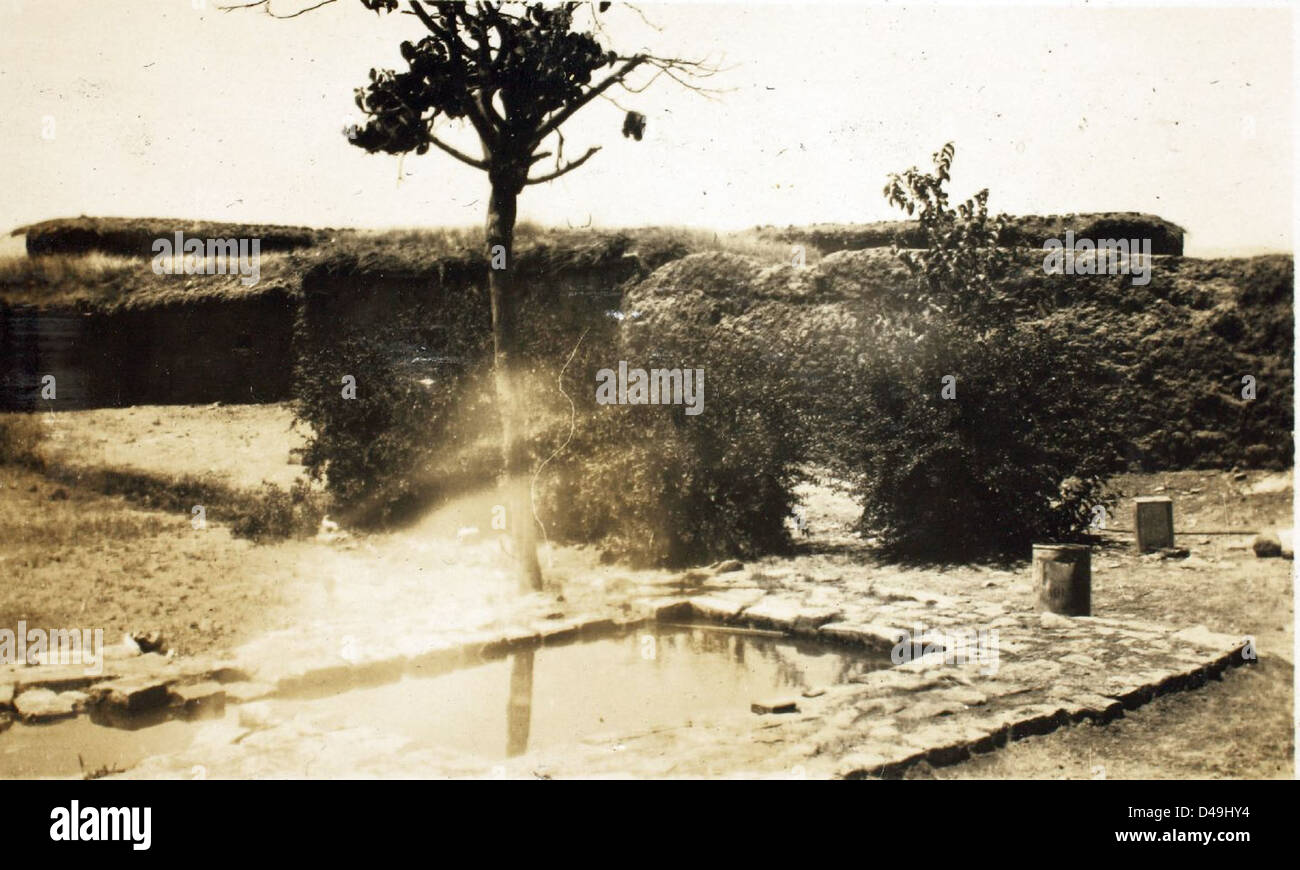 This image captures a scene of a washing pool, a designated area often ...