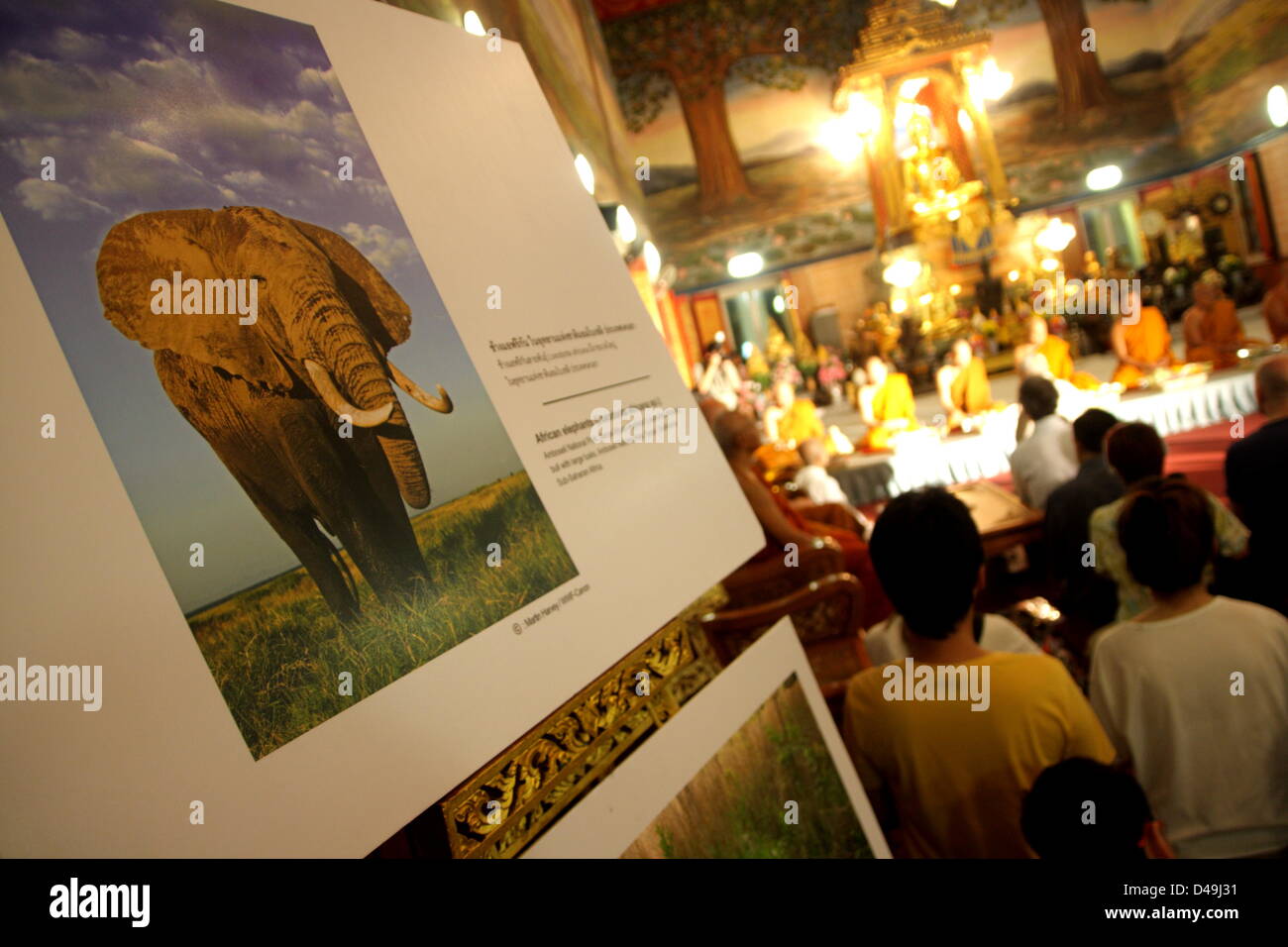 Make a merit hi-res stock photography and images - Alamy