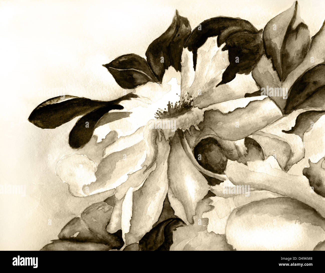 Sepia leaves drawing hi-res stock photography and images - Alamy