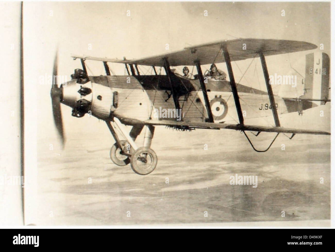 Wapati hi-res stock photography and images - Alamy