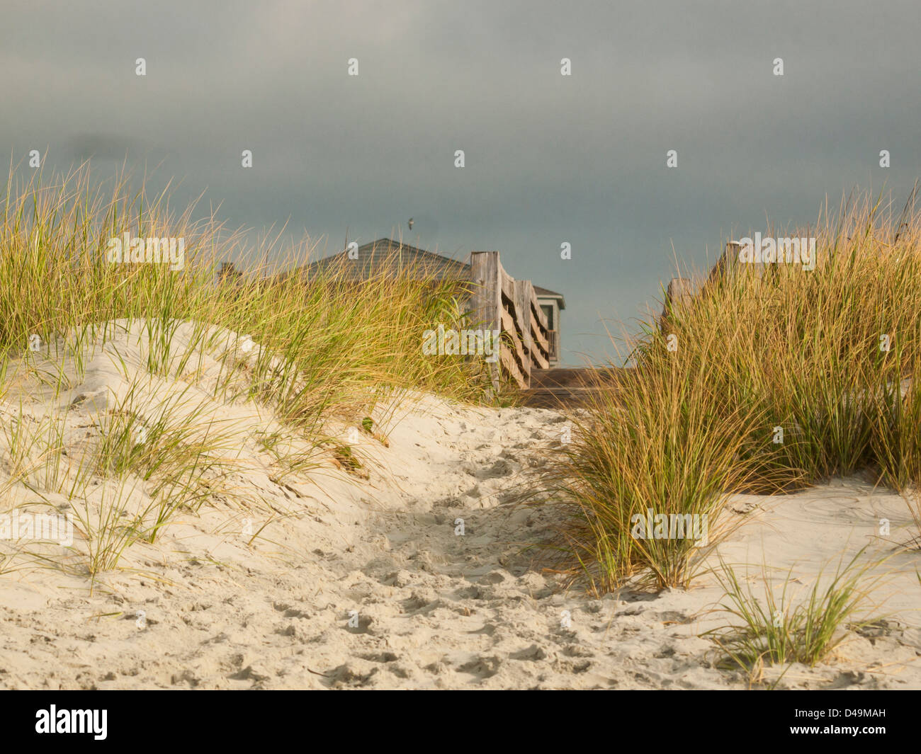 Myrtle Beach is a coastal city on the east coast of the United States ...