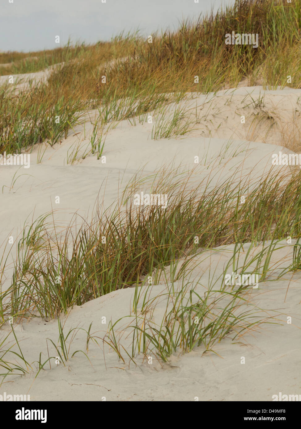 Myrtle Beach is a coastal city on the east coast of the United States ...