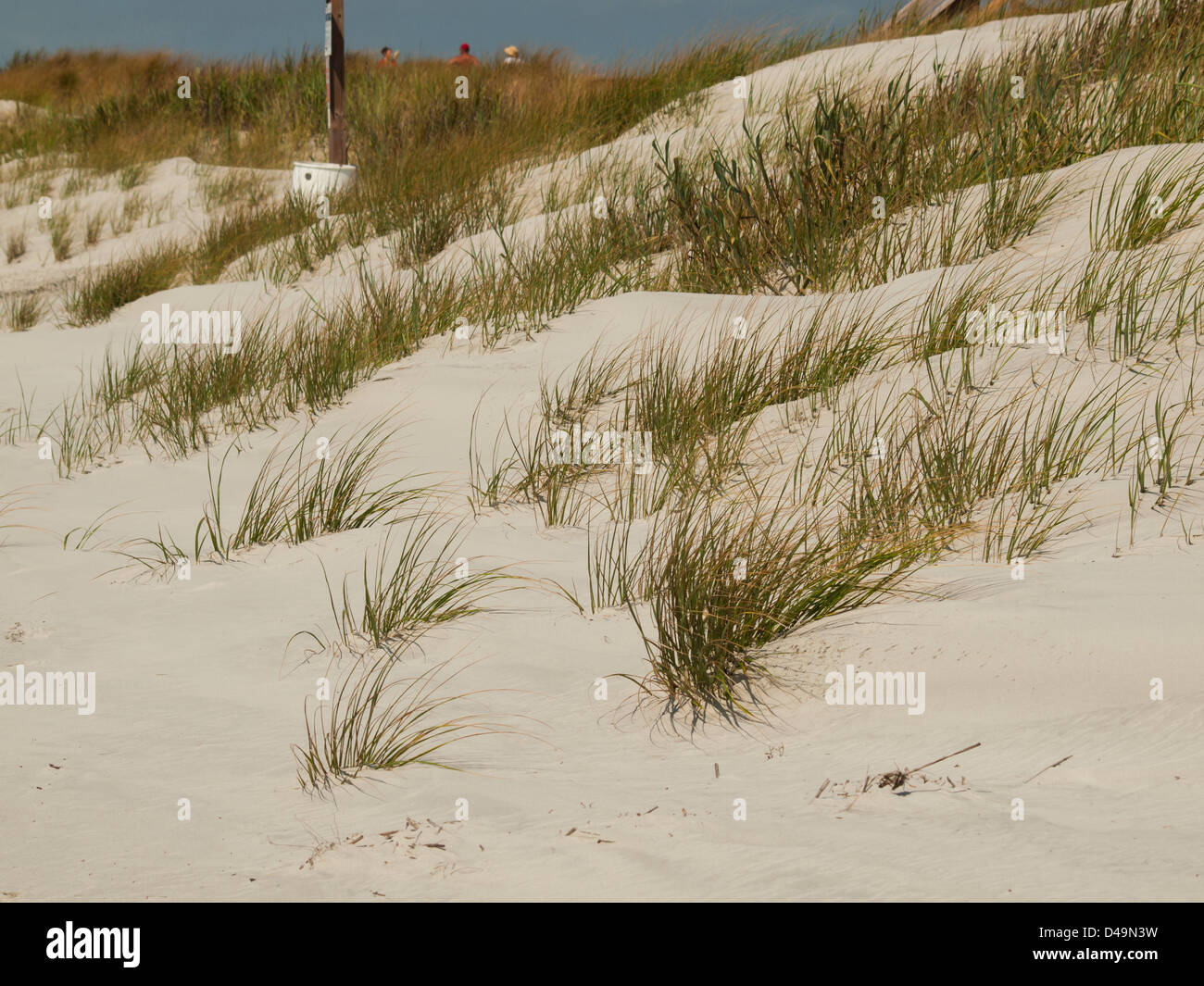 Myrtle Beach is a coastal city on the east coast of the United States ...