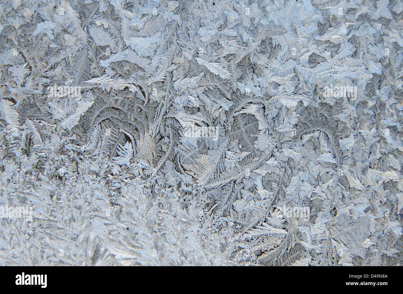 elaborate patterns of frost on a window pane Stock Photo - Alamy