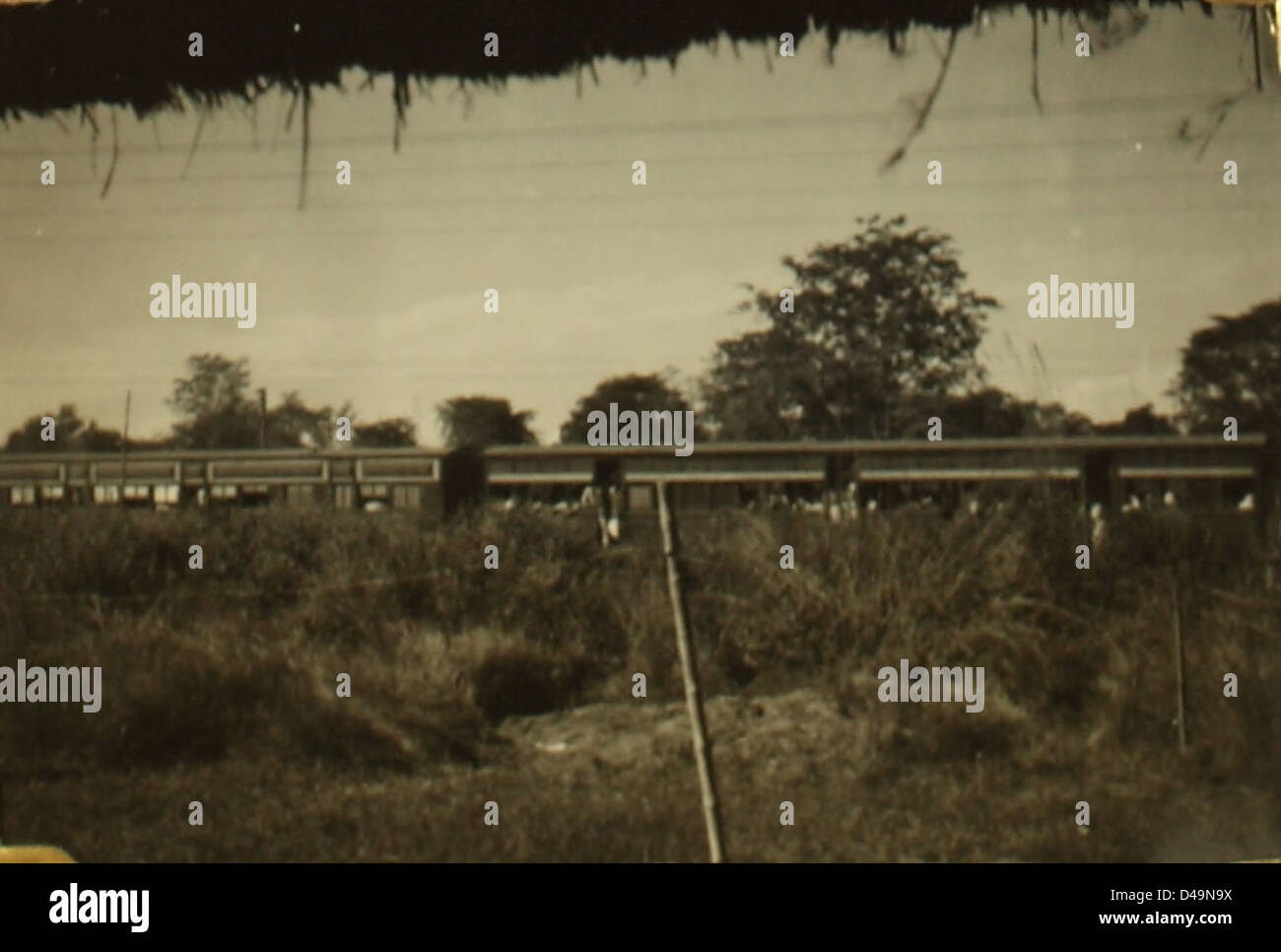 This photo shows members of the 341st Bomb Group, including the 491st ...