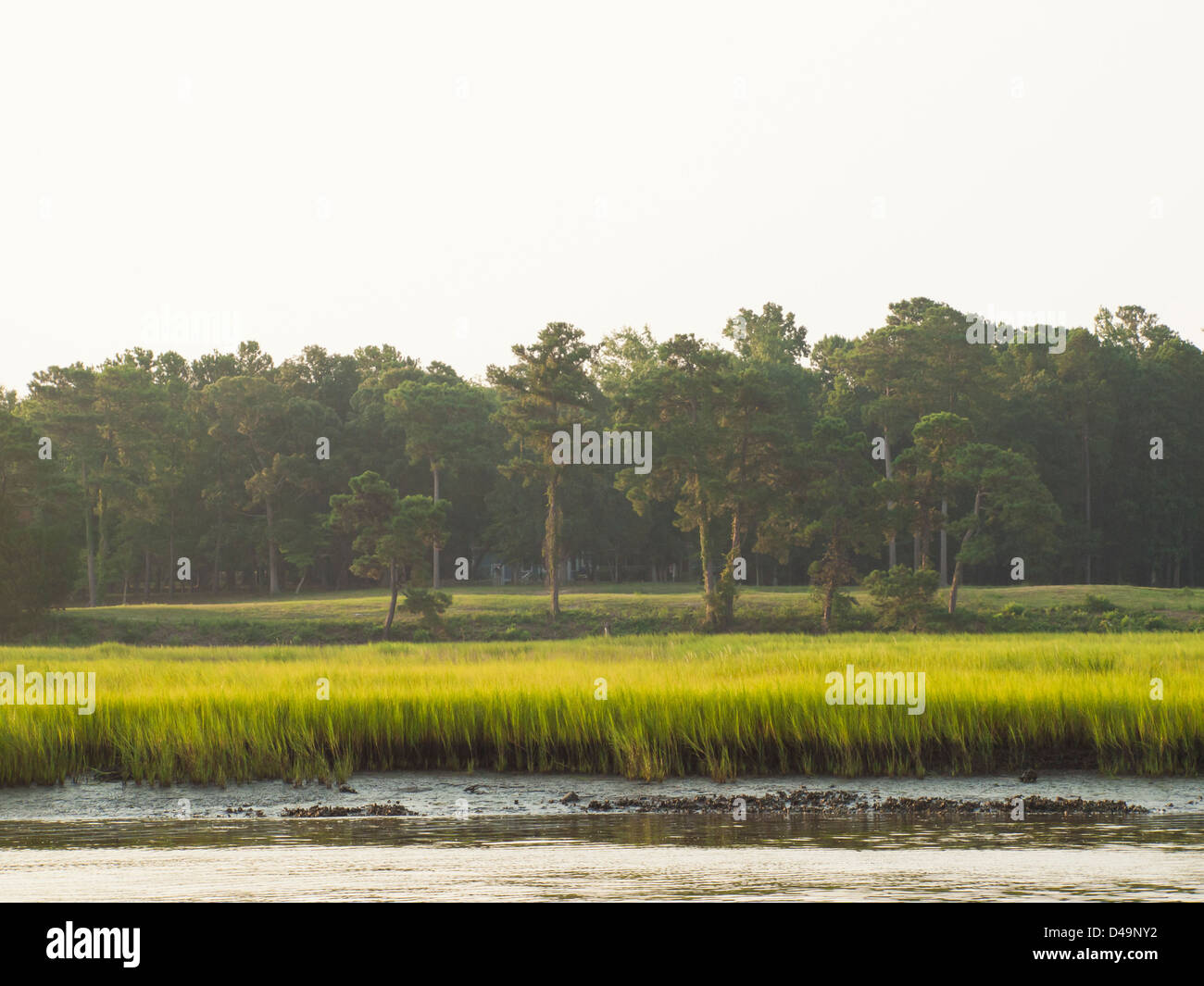 Myrtle Beach is a coastal city on the east coast of the United States ...
