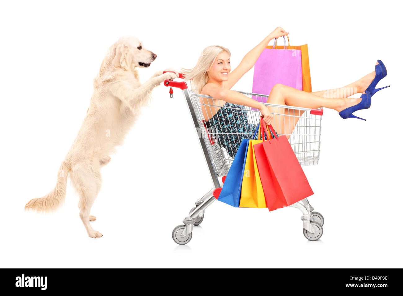 Woman holding white dog Cut Out Stock Images & Pictures - Alamy