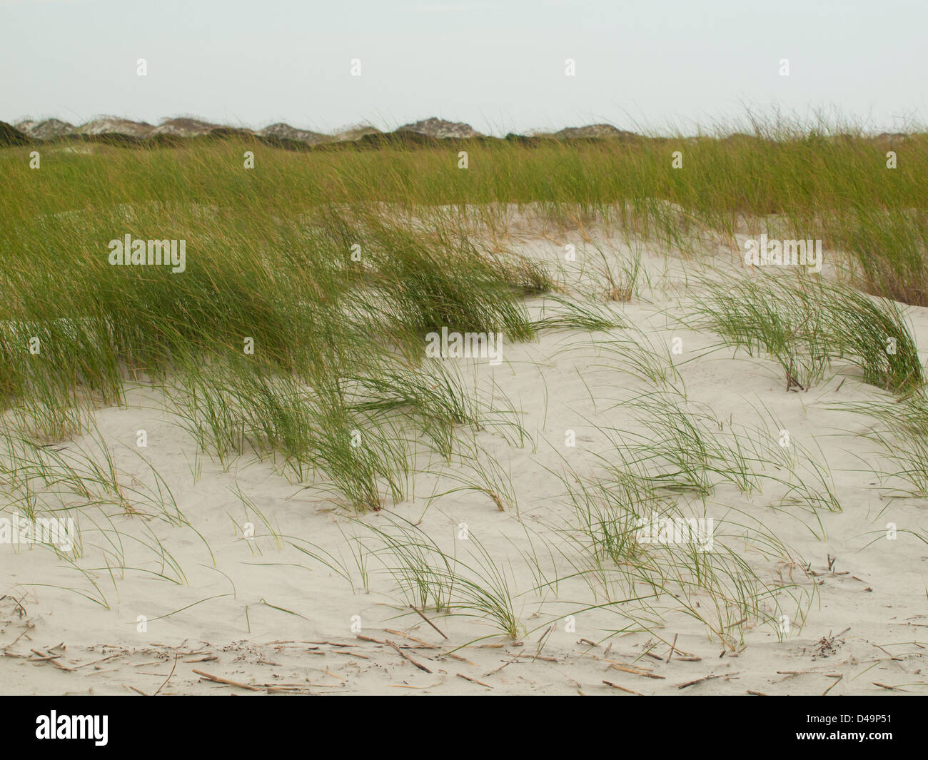 Myrtle Beach is a coastal city on the east coast of the United States ...