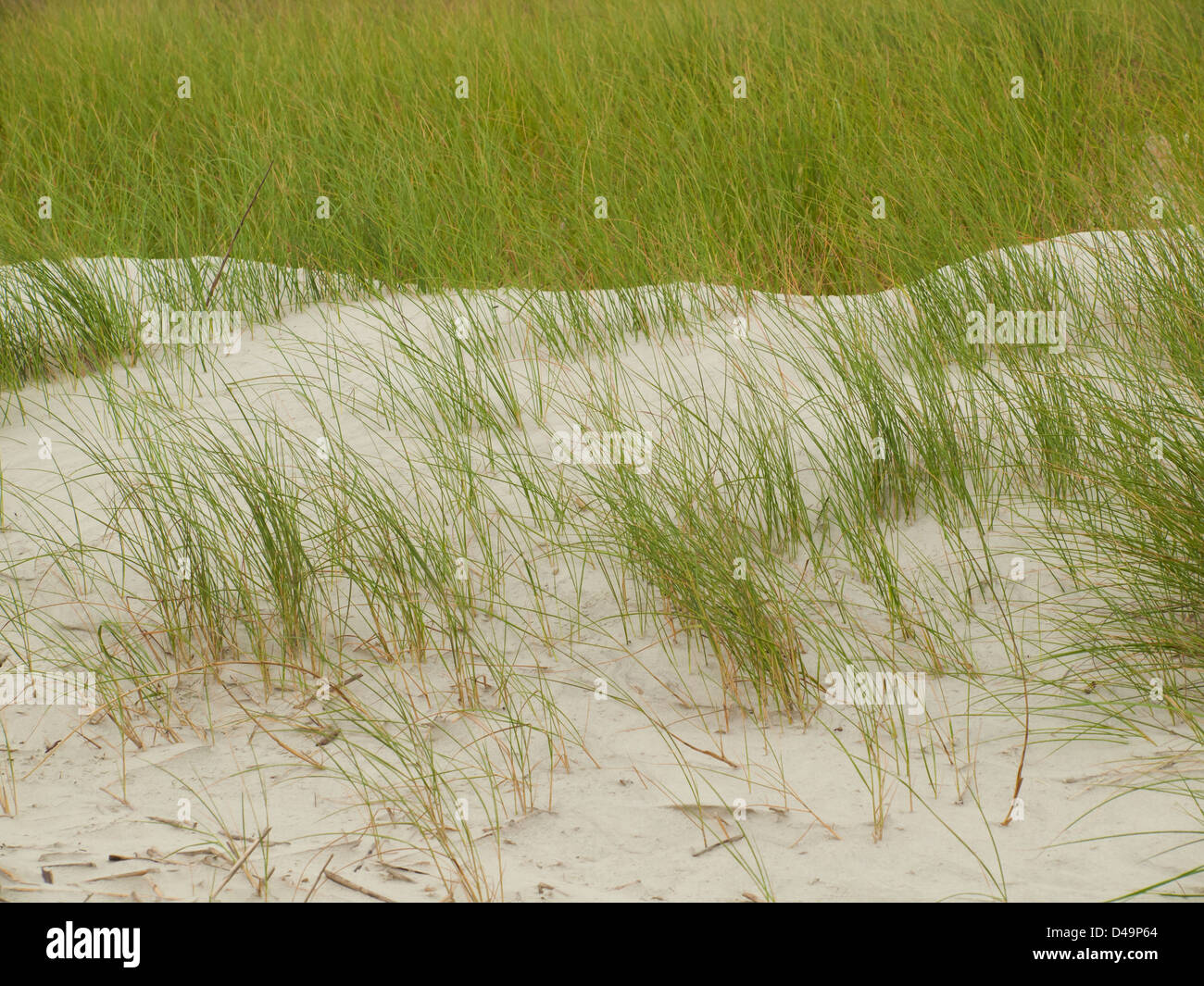 Myrtle Beach is a coastal city on the east coast of the United States ...