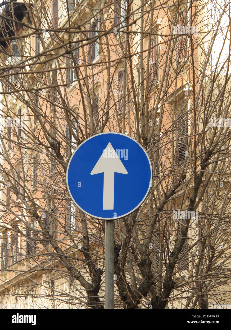 direction road sign with a tree and an XIX century building on ...