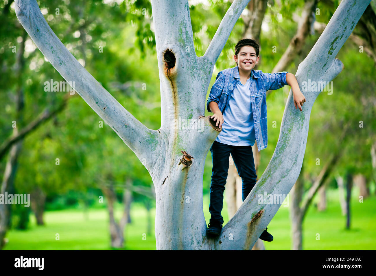 Boy standing on a branch on the tree in park Stock Photo - Alamy