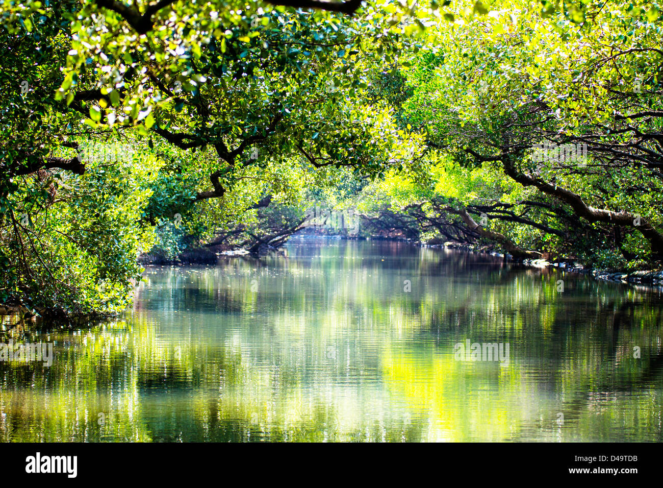 Four grass green tunnel, Tainan, Taiwan Stock Photo - Alamy