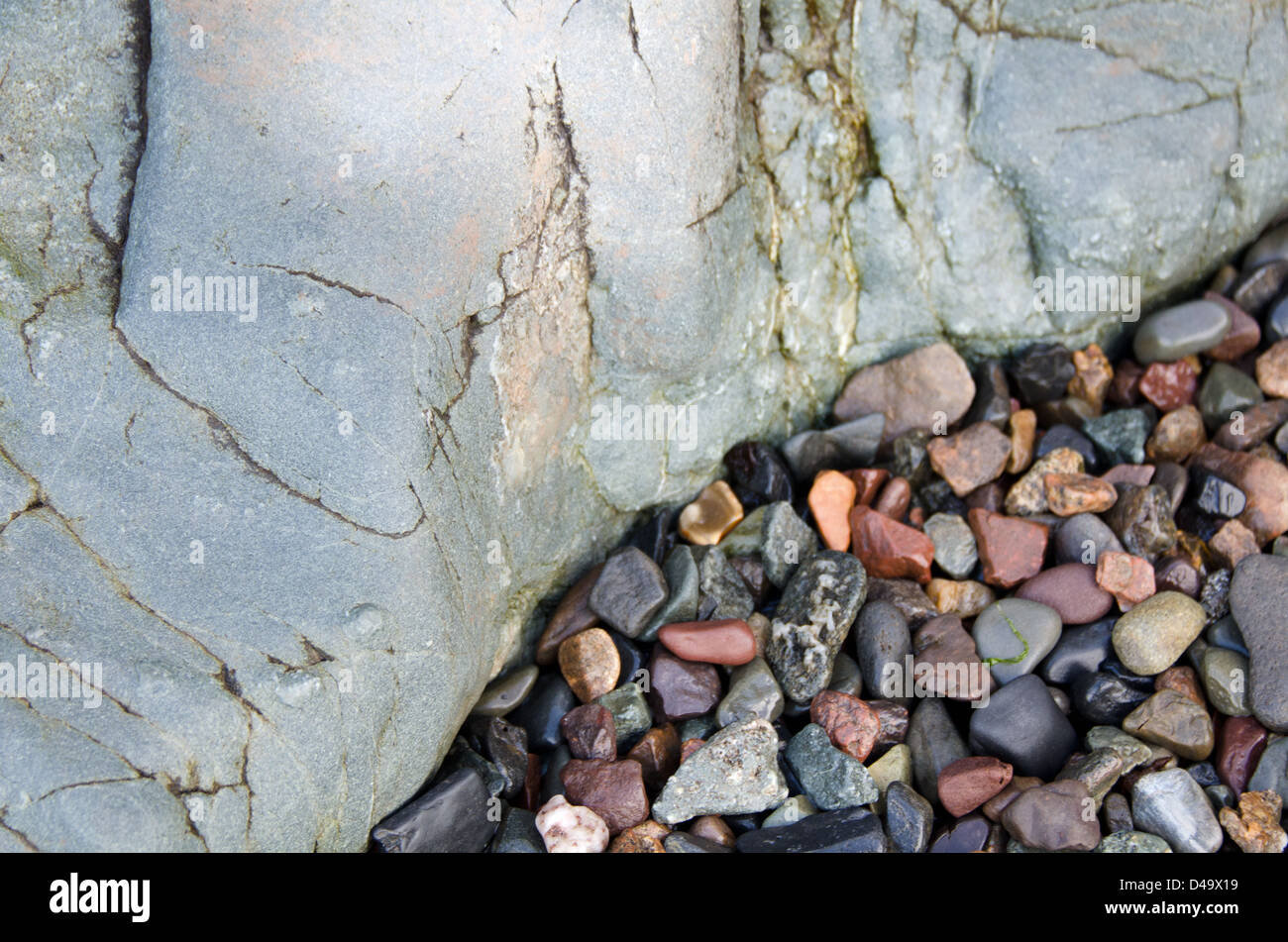A close-up look at the beach stones of Campobello Island, a mix of ...