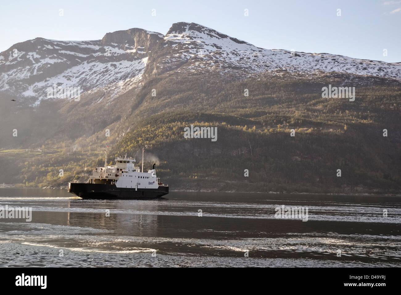 Bird of ferry hi-res stock photography and images - Alamy