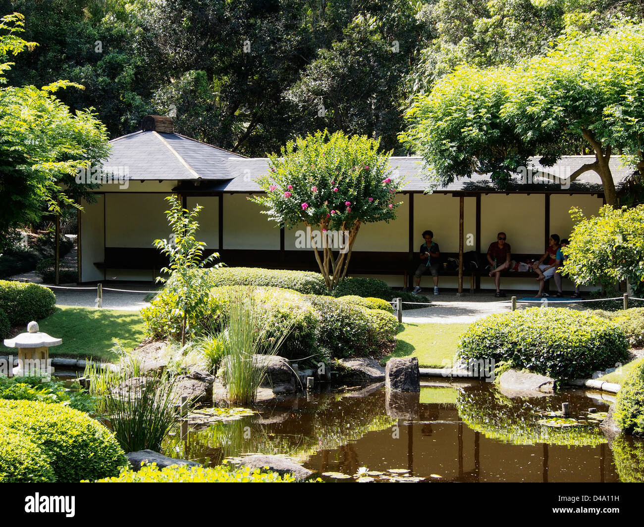Mount coot tha botanic gardens hi-res stock photography and images - Alamy
