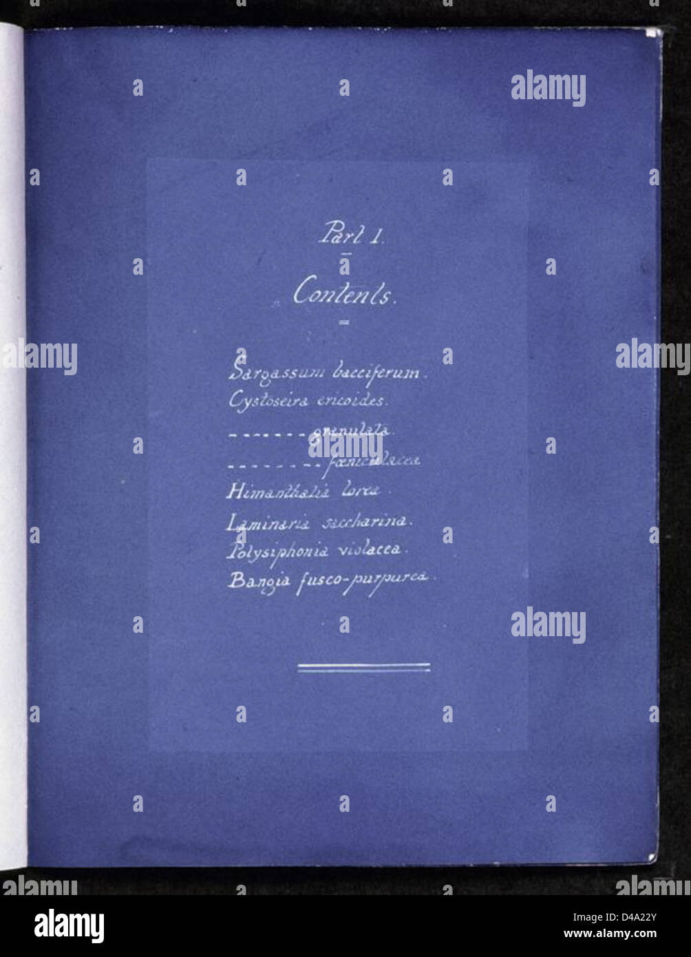 A table of contents for a collection of cyanotypes held by the New York ...