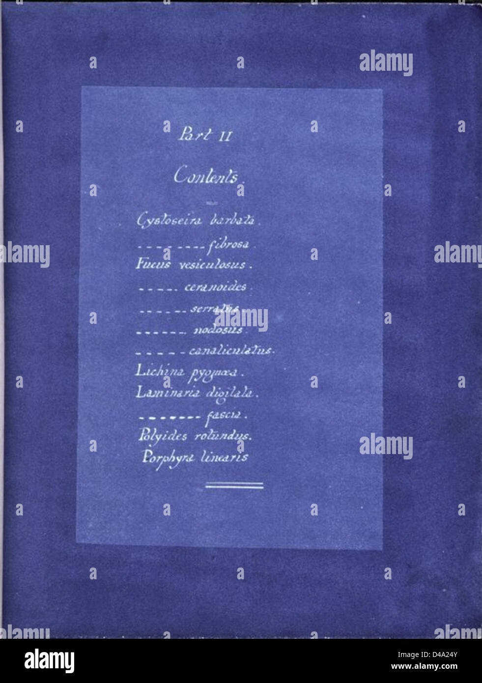 A collection of cyanotypes from Great Britain, documenting various ...