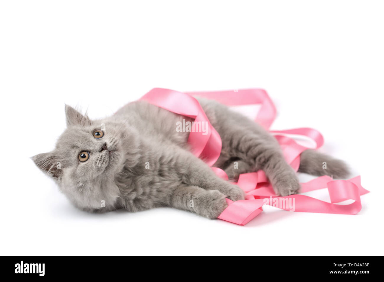 Cute ribbon hi-res stock photography and images - Alamy