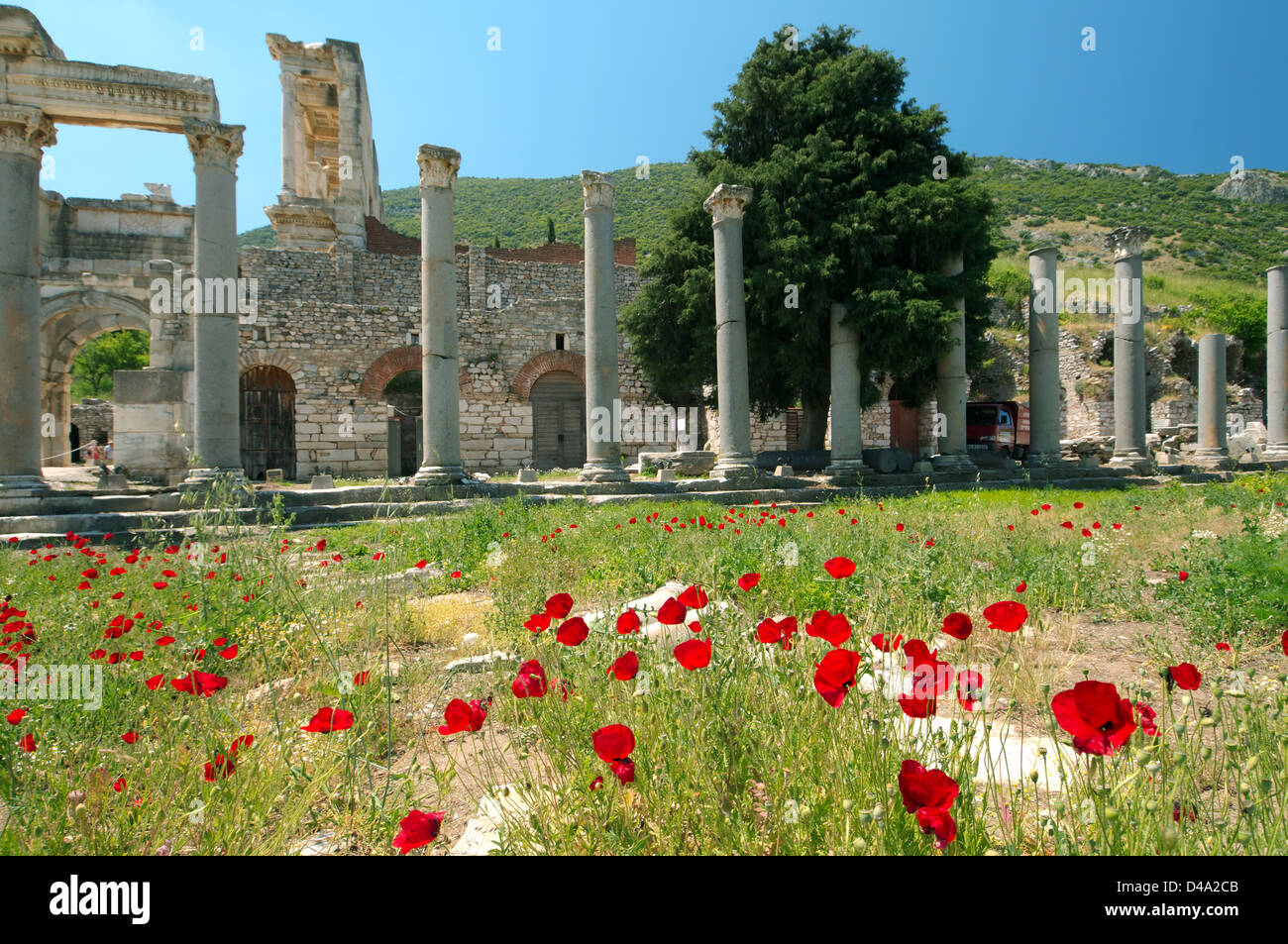 Poppies turkey hi-res stock photography and images - Alamy