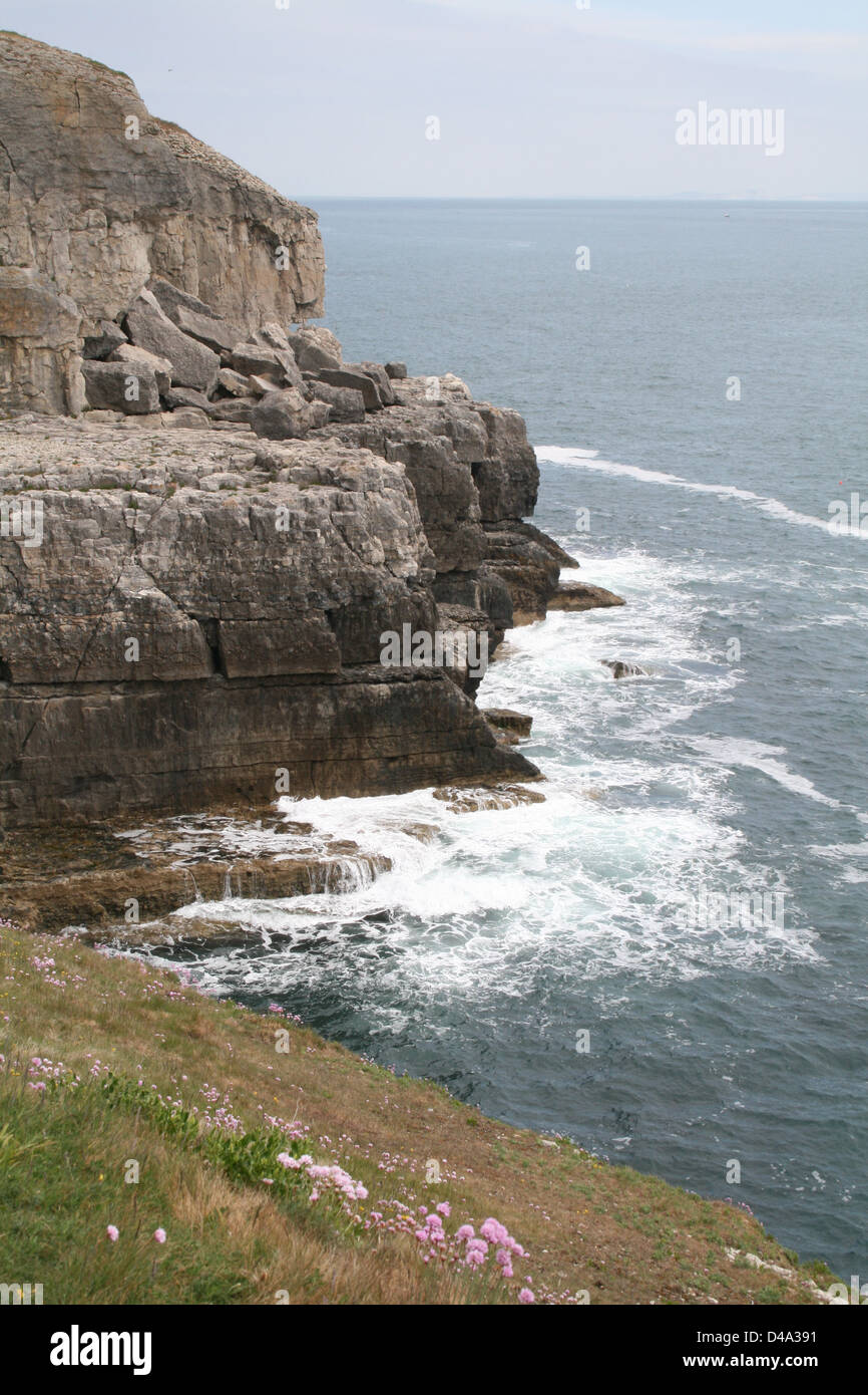 Durlston Country Park Stock Photo - Alamy