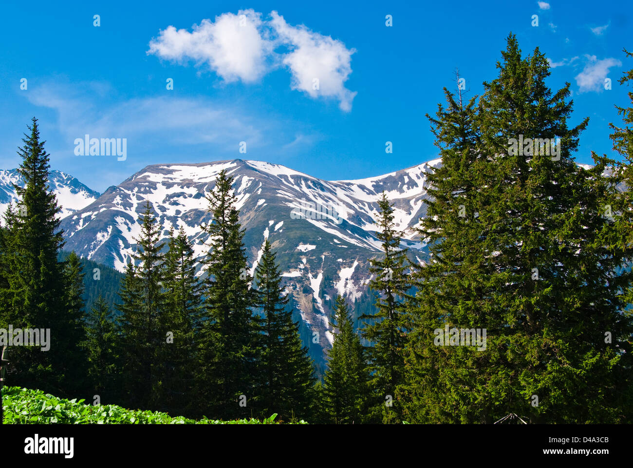 Nature landscape in springtime Stock Photo - Alamy