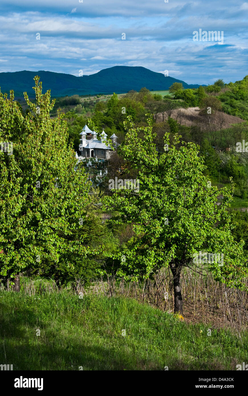 Nature landscape in springtime Stock Photo - Alamy